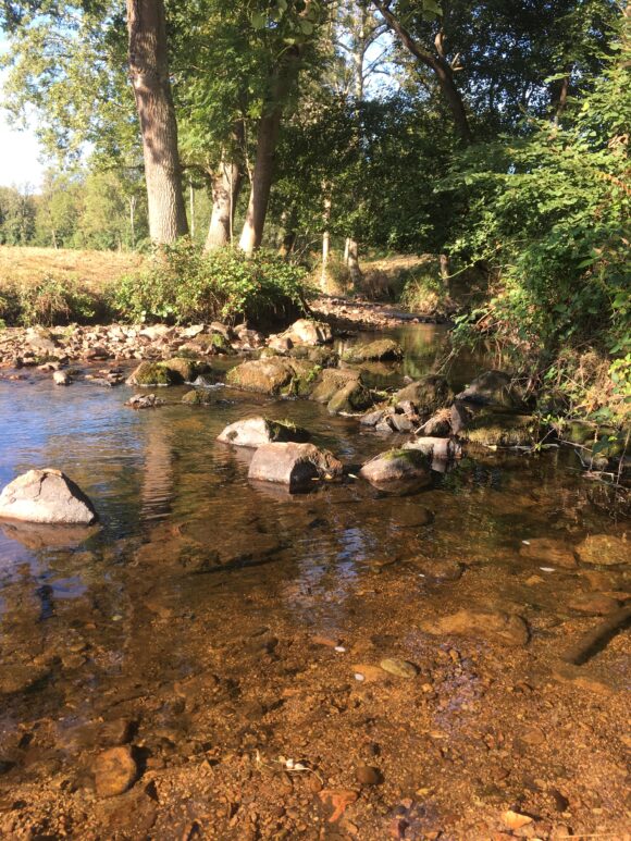 L'Andan à Droiturier - Fédération de Pêche de l'Allier